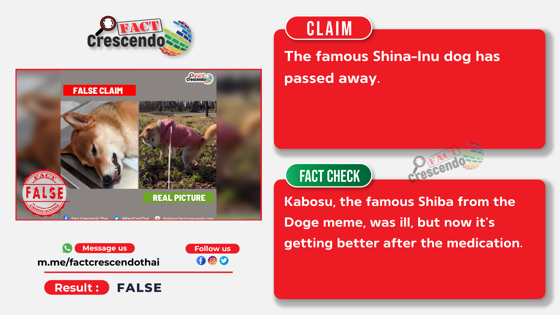 Kabosu, the origin of the Doge meme, didn't pass away and has recovered ...