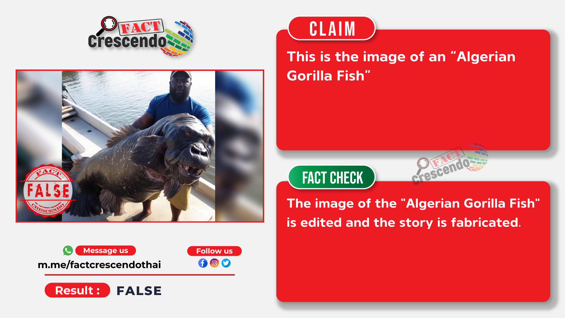 Fact-Checking the Algerian Gorilla Fish: A Hoax or a Real Creature ...