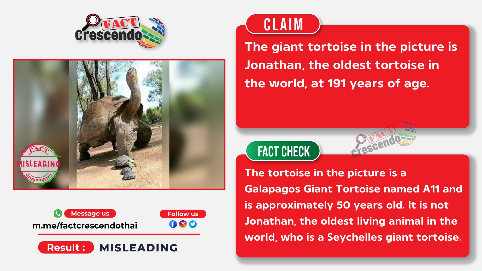 Truth Behind the Giant Tortoise on Facebook - Fact Crescendo | The ...