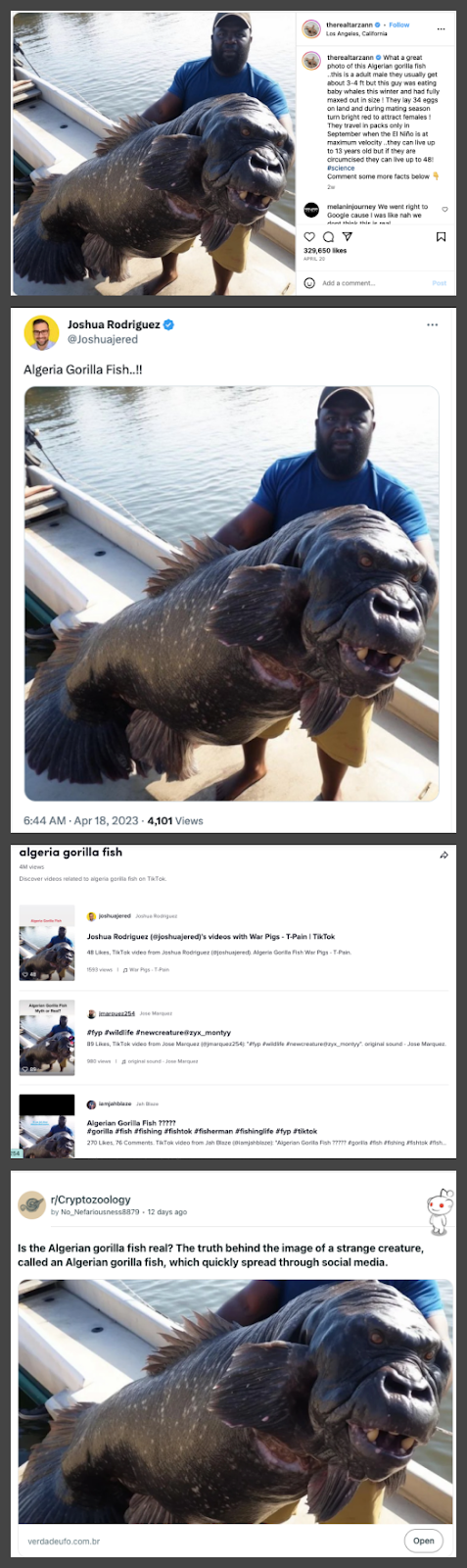 Fact-Checking the Algerian Gorilla Fish: A Hoax or a Real Creature ...