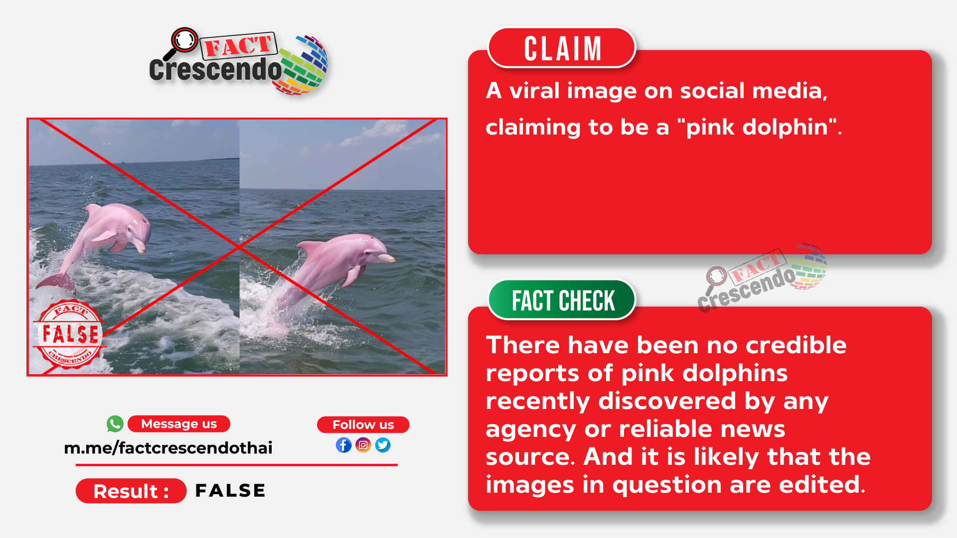 The viral pictures of the "pink dolphin" are NOT real - Fact Crescendo ...